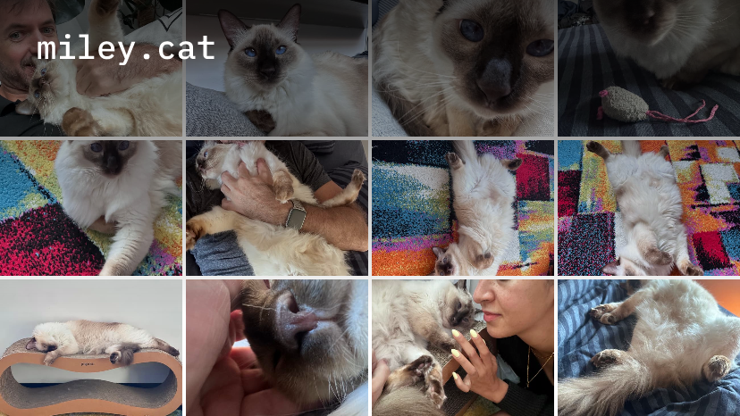 "Princess Poofy Pants"